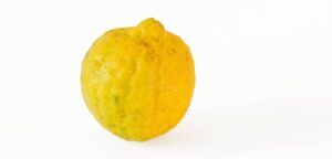 Vadukapuli Achar Recipe - Instant Wild Lemon Pickle